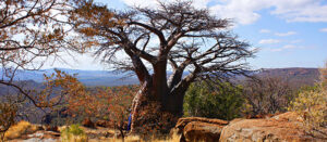 THE WATERBERG – Waterberg Biosphere